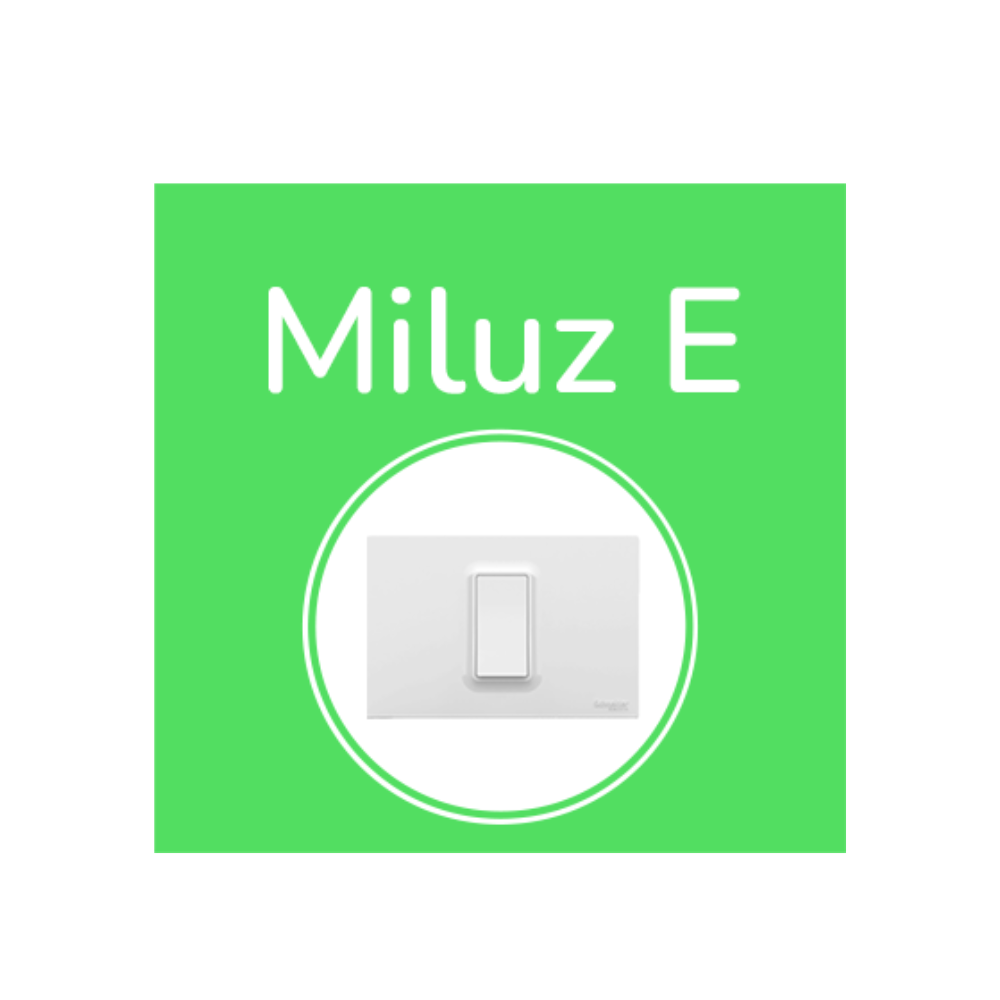 Schneider Miluz – Hegazy Group